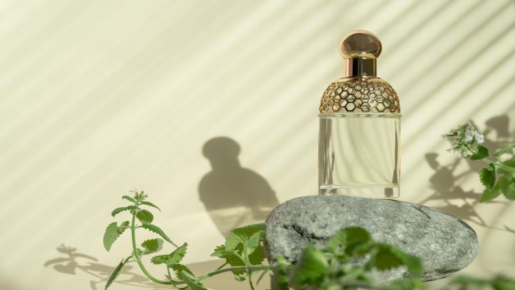 Your Life In Scents: A Guide To Choosing Perfume For Your Lifestyle ...